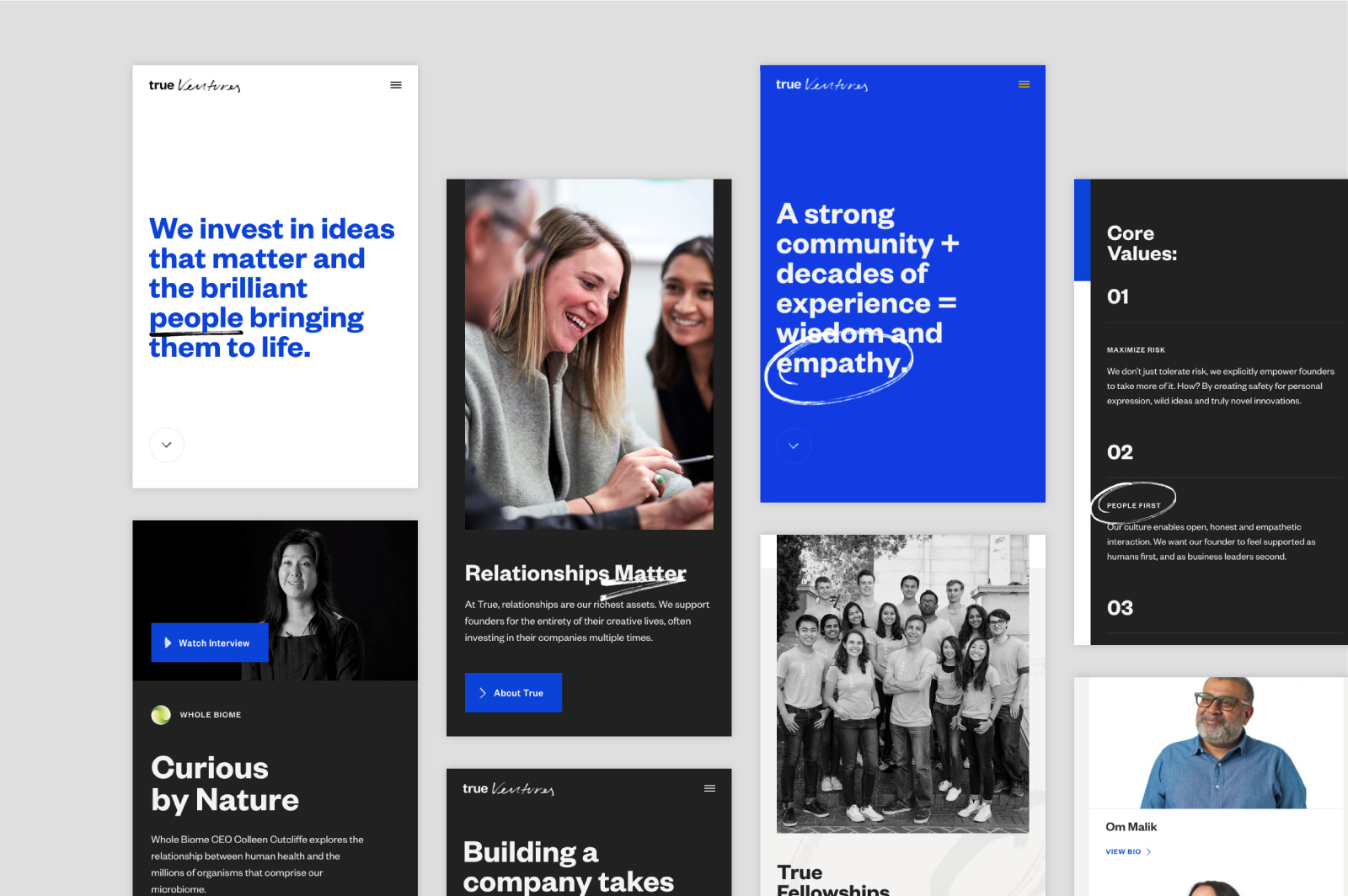 True Ventures - True Alignment: Introducing Our New Brand Identity